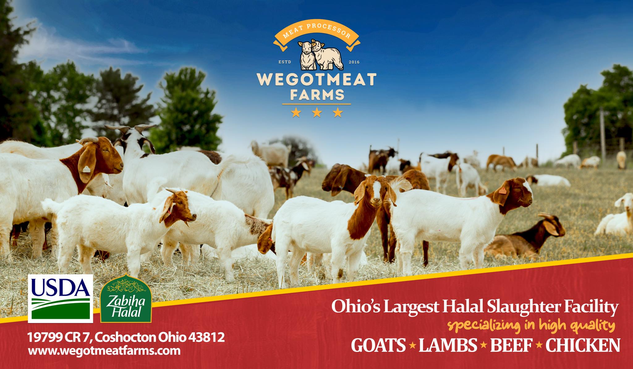Halal Deli – WeGotMeat